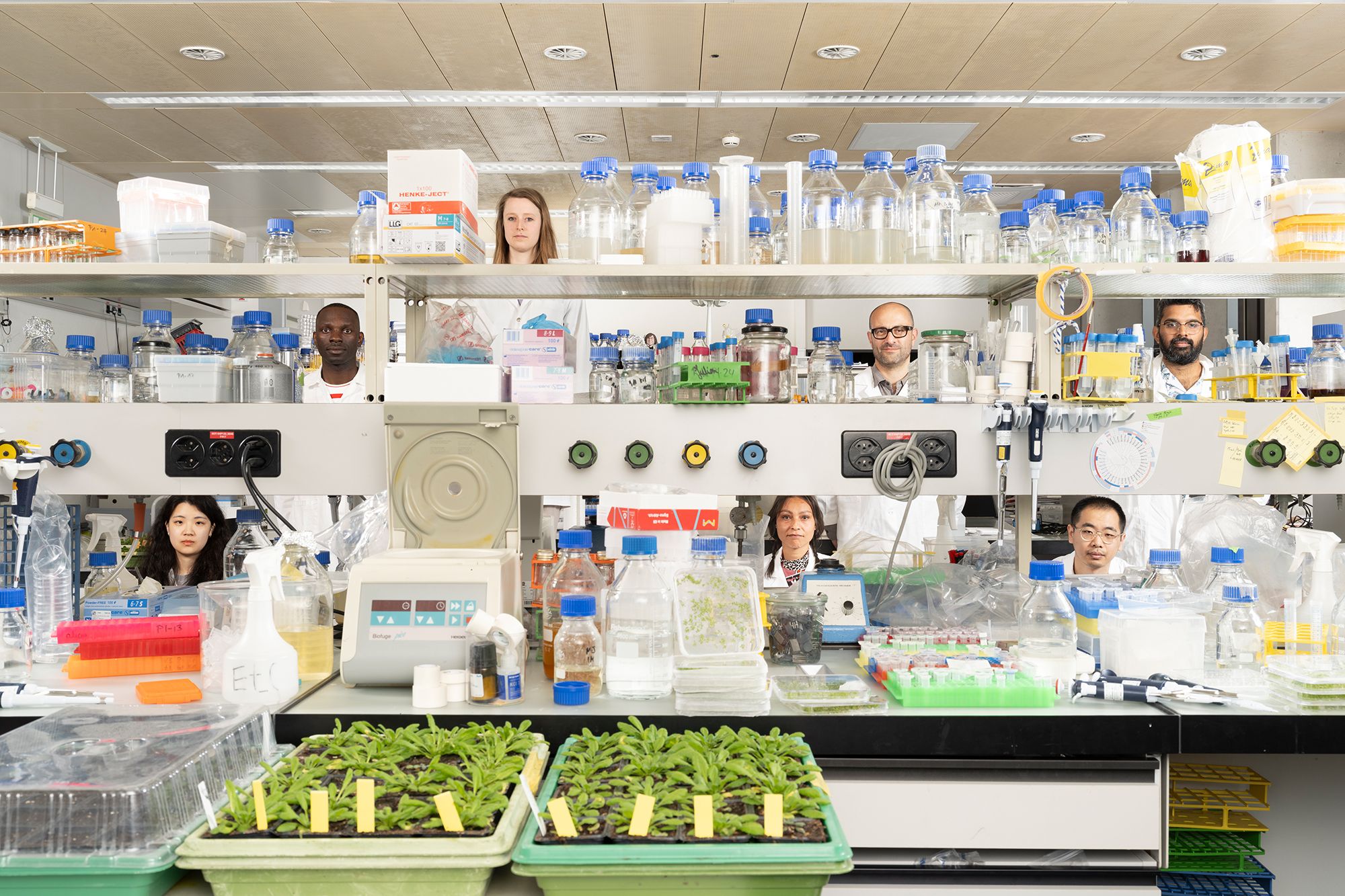 Plant-Based Peptides – UZH Foundation